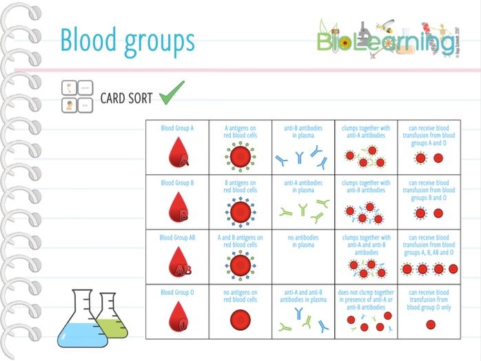 Middle School Teaching Resources: 6th, 7th, 8th Grade | Tes