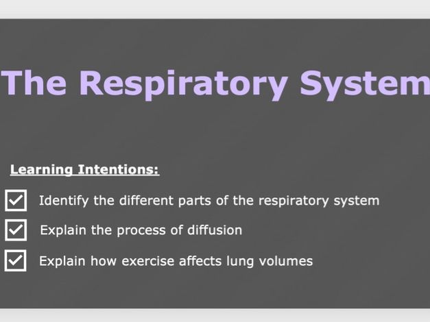 A Level PE - Respiratory System and Lung Volumes | Teaching Resources