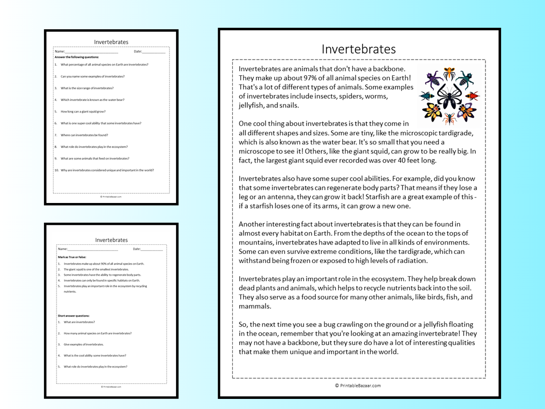 Invertebrates Reading Comprehension Passage Printable Worksheet ...