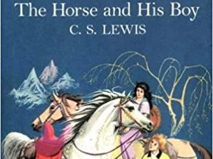 Narnia Book 3 – The Horse and His Boy Vocab Test 6 | Teaching Resources
