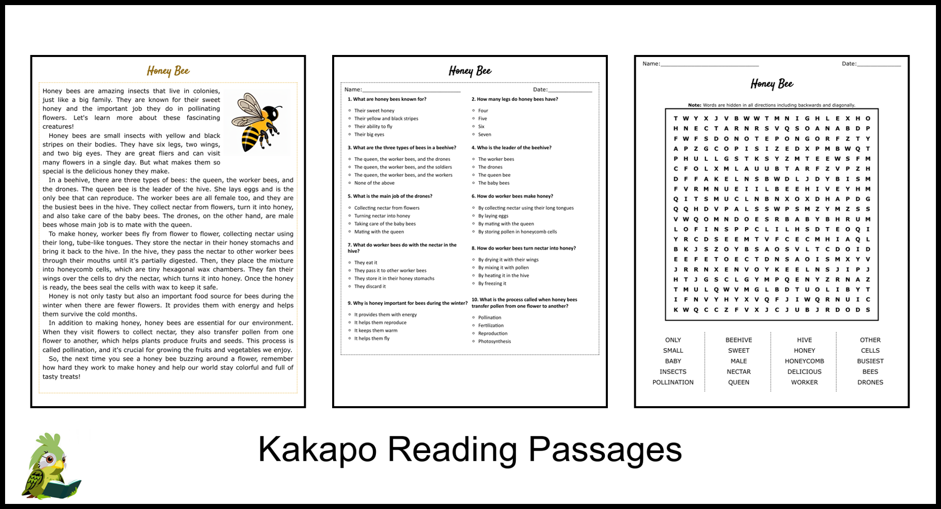 Honey Bee Reading Comprehension and Word Search | Teaching Resources