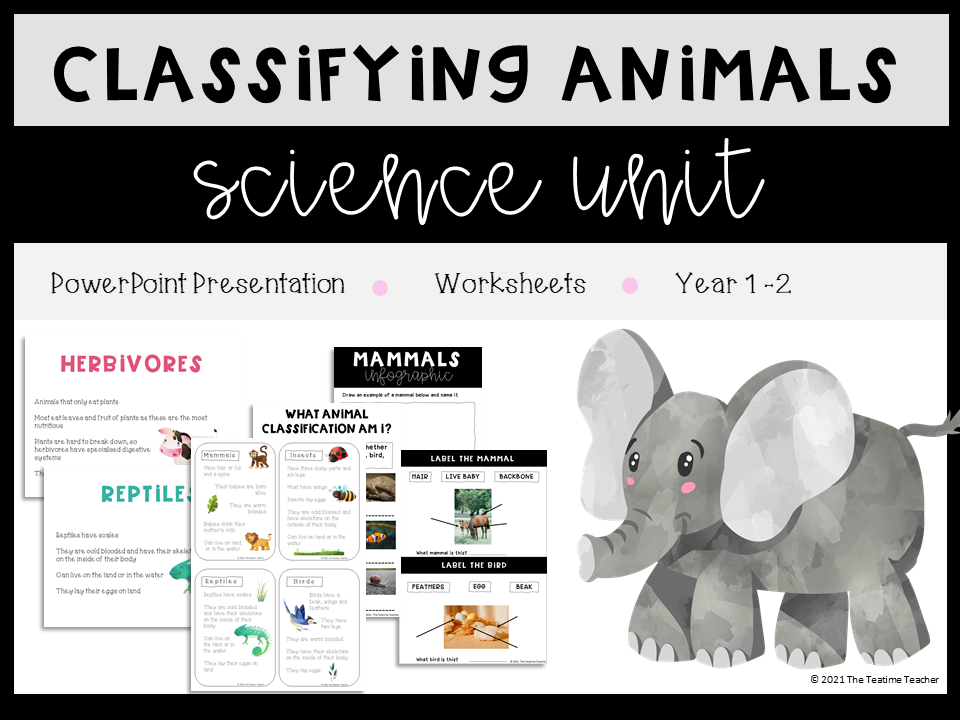 Animals and Habitats: Primary Science Teaching Resources ǀ Tes