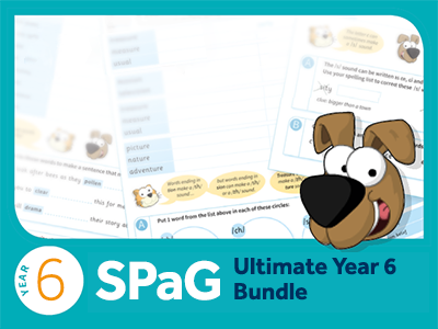 KS2 Spag Tests and Revision | Year 6 Sats | Tes