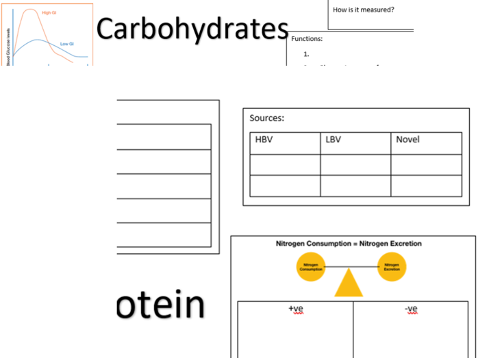 Nutrition Food Science Macronutrients Knowledge dumps | Teaching Resources