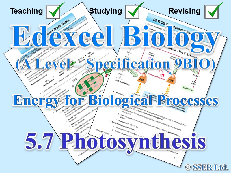 BIOA_EDX Topic Notes: 5.7 Photosynthesis | Teaching Resources