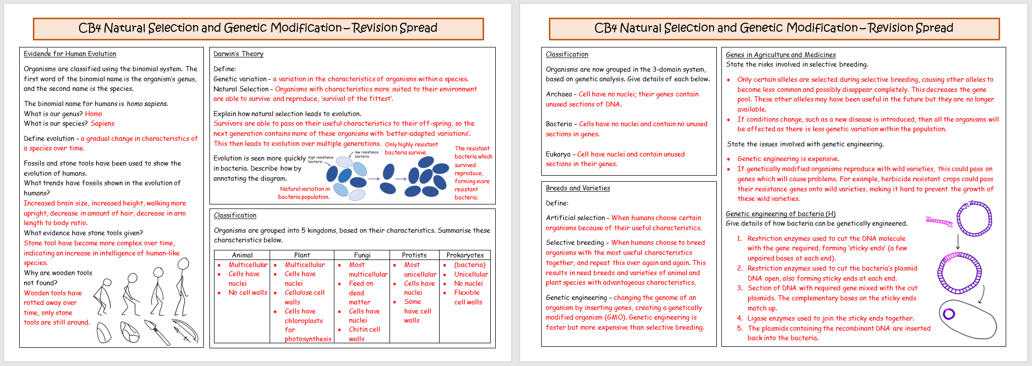 CB4 Natural Selection and Genetic Modification Revision Spread ...