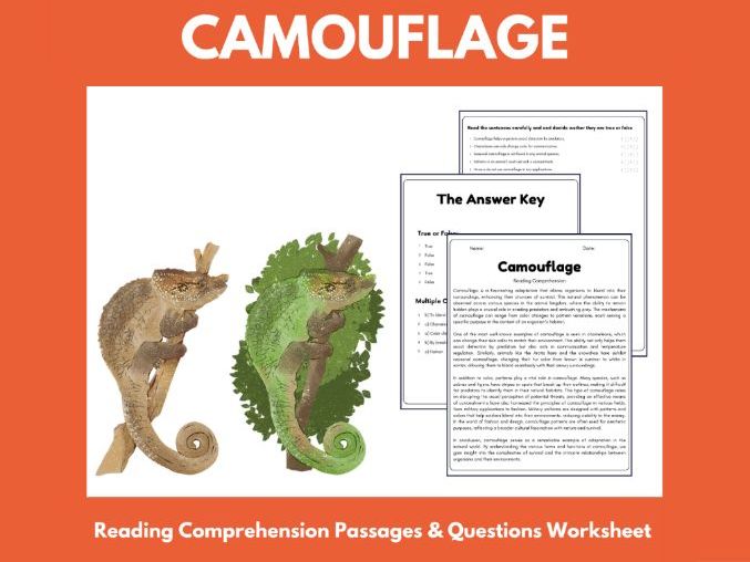 Camouflage: Reading Comprehension Passages & Questions Worksheets ...