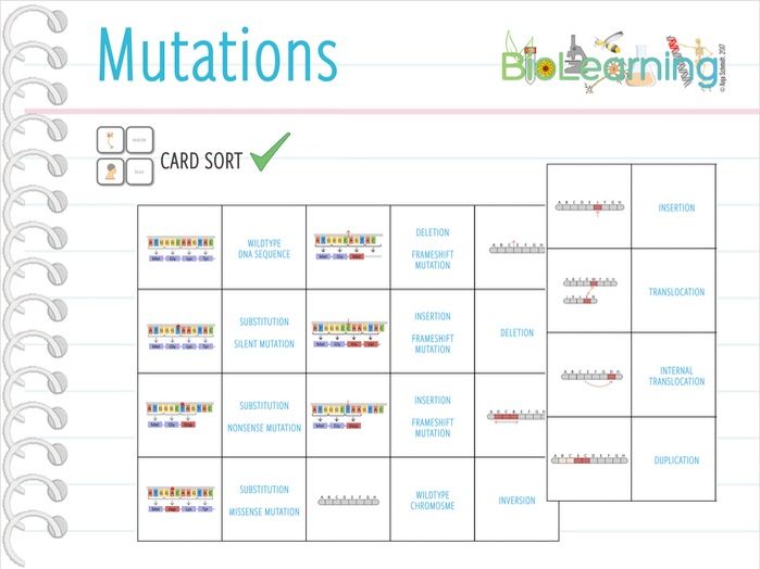 Mutations - Card Sort (KS4/5) | Teaching Resources