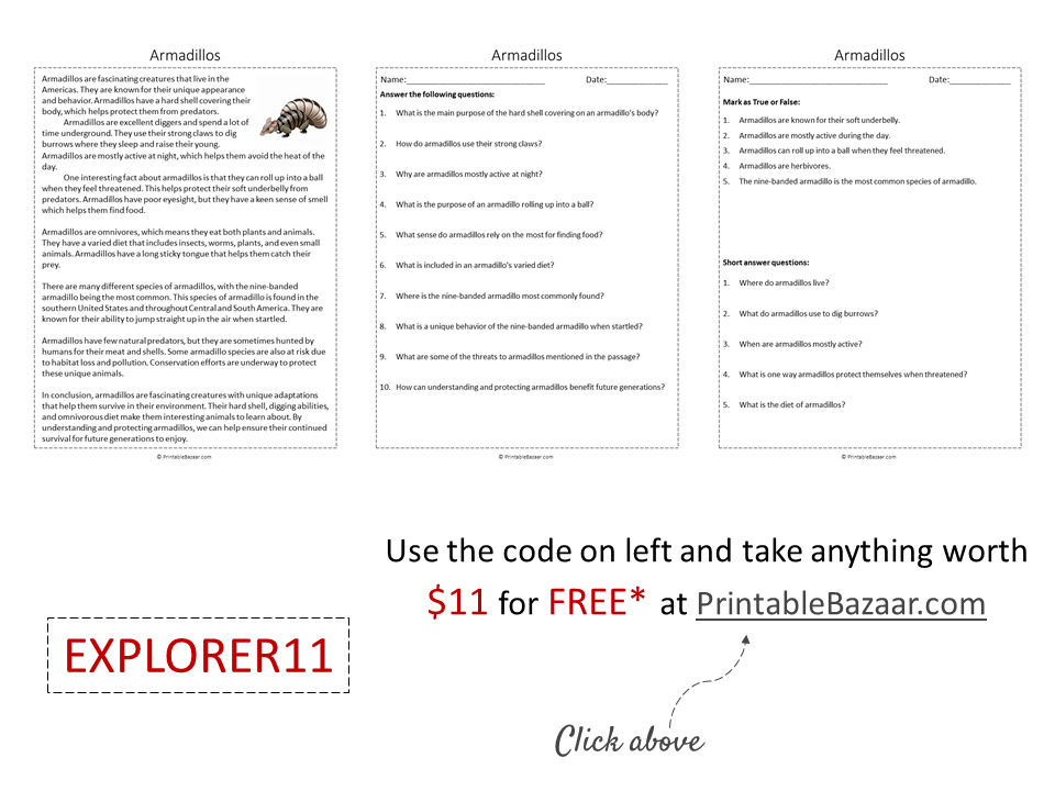 Armadillos Reading Comprehension Passage Printable Worksheet | Teaching Resources