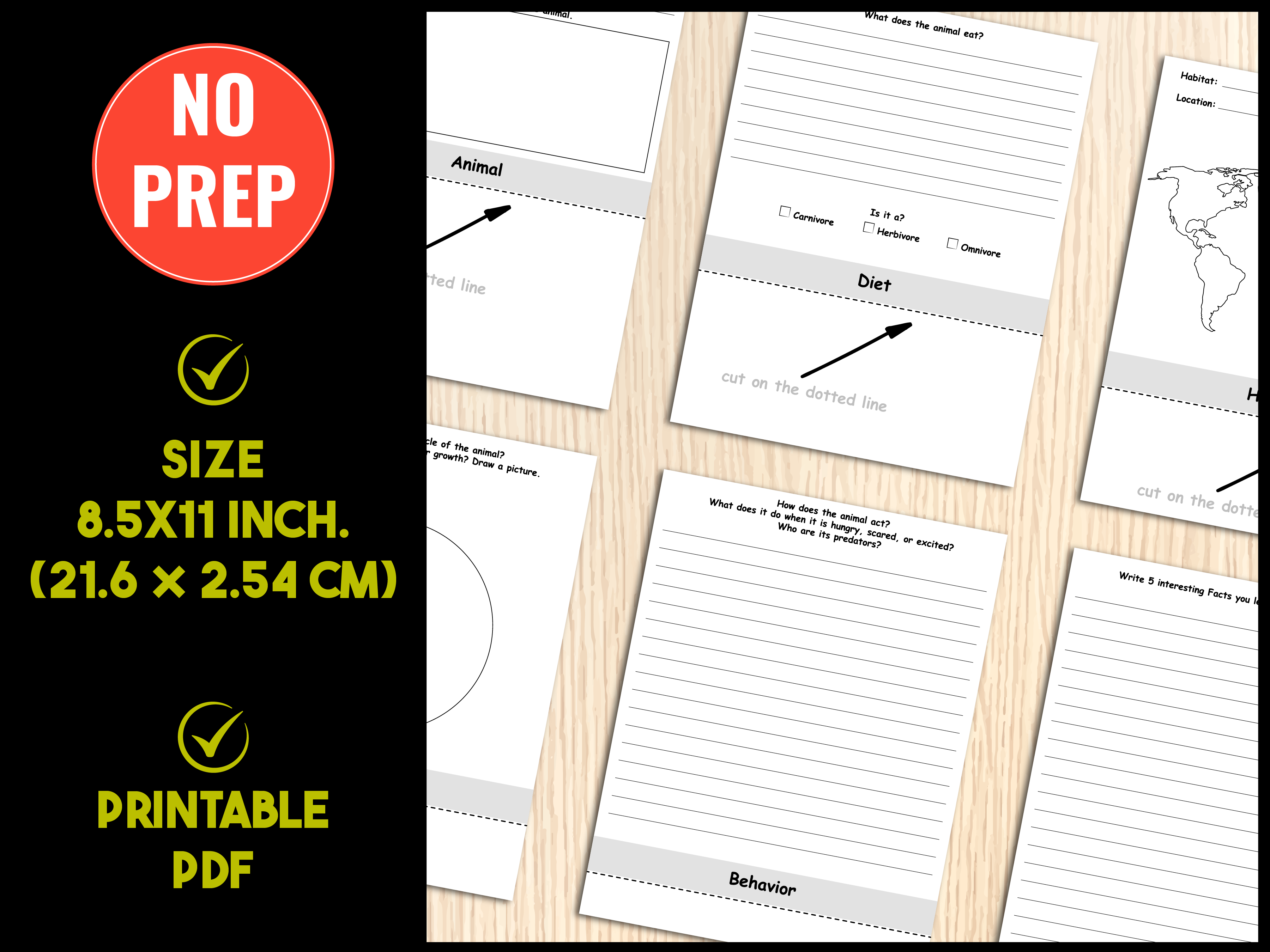Beaver Animal Research Flipbook | Wetland Habitat Animal Report ...