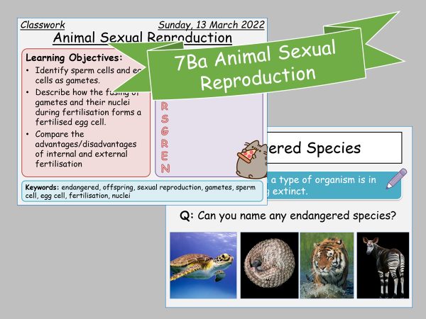 7B Reproduction 5 Lesson Bundle (Exploring Science) | Teaching Resources