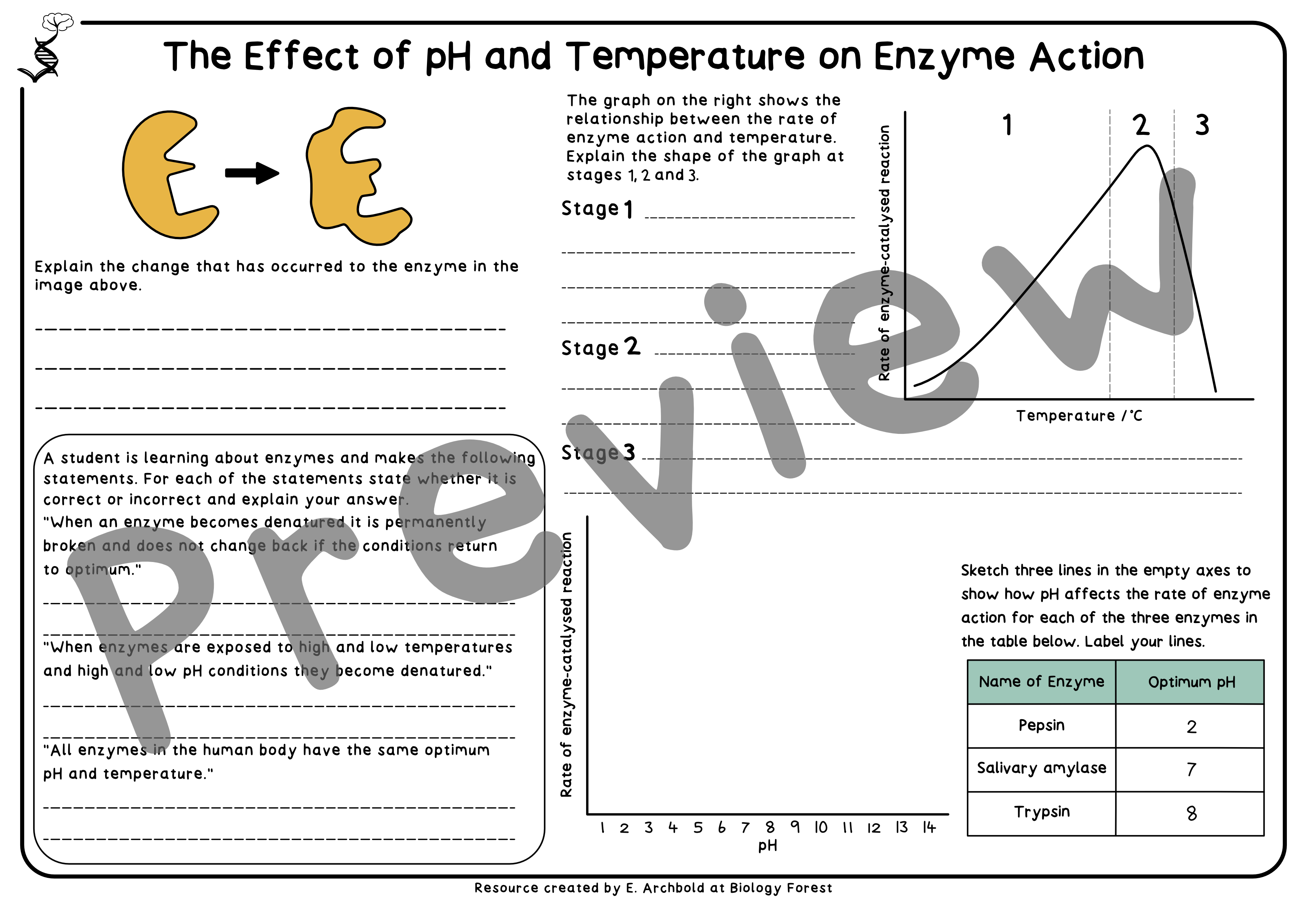 Enzymes | GCSE Biology | Teaching Resources