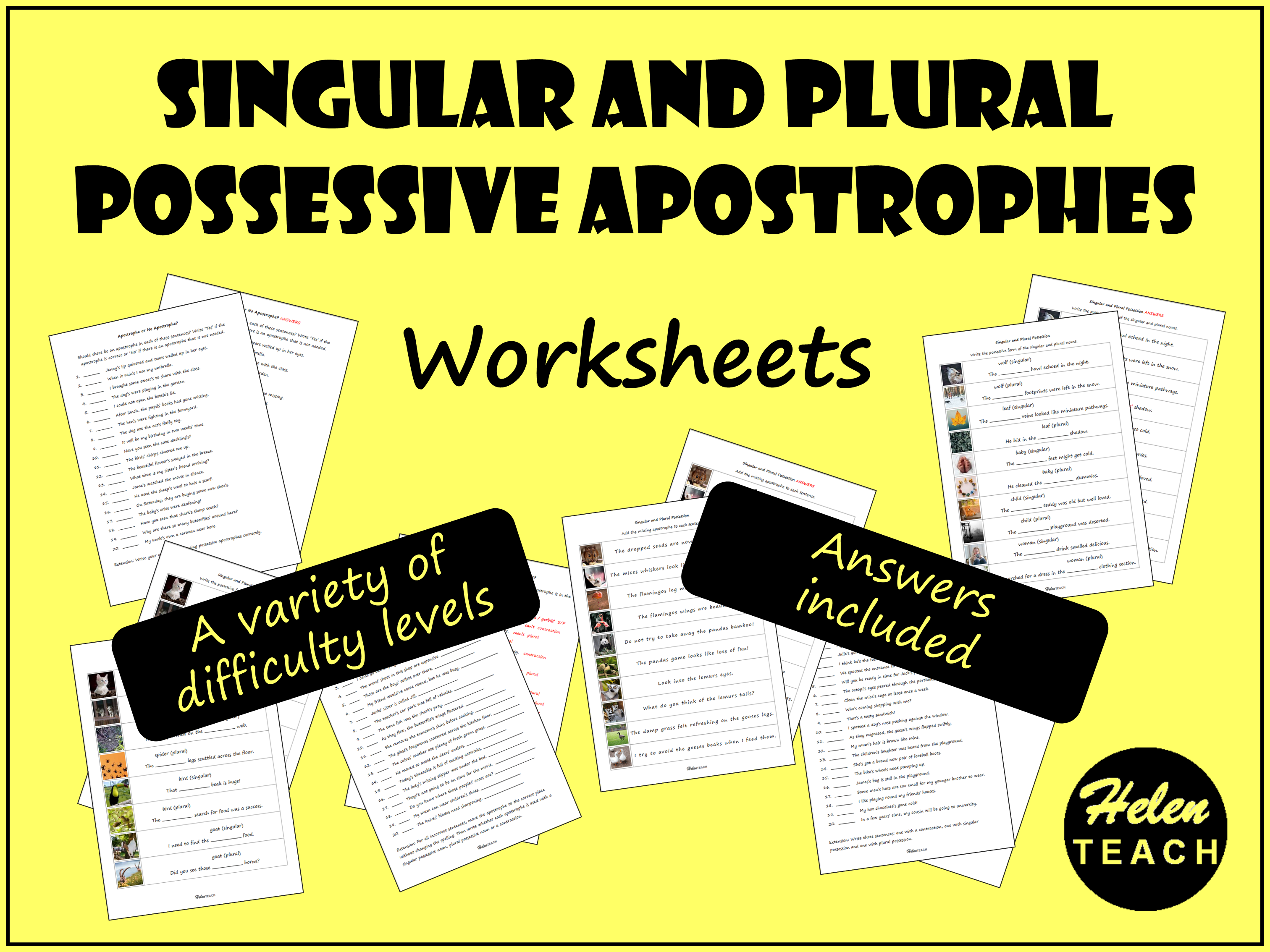 Singular And Plural Possessive Apostrophes Worksheets Teaching Resources