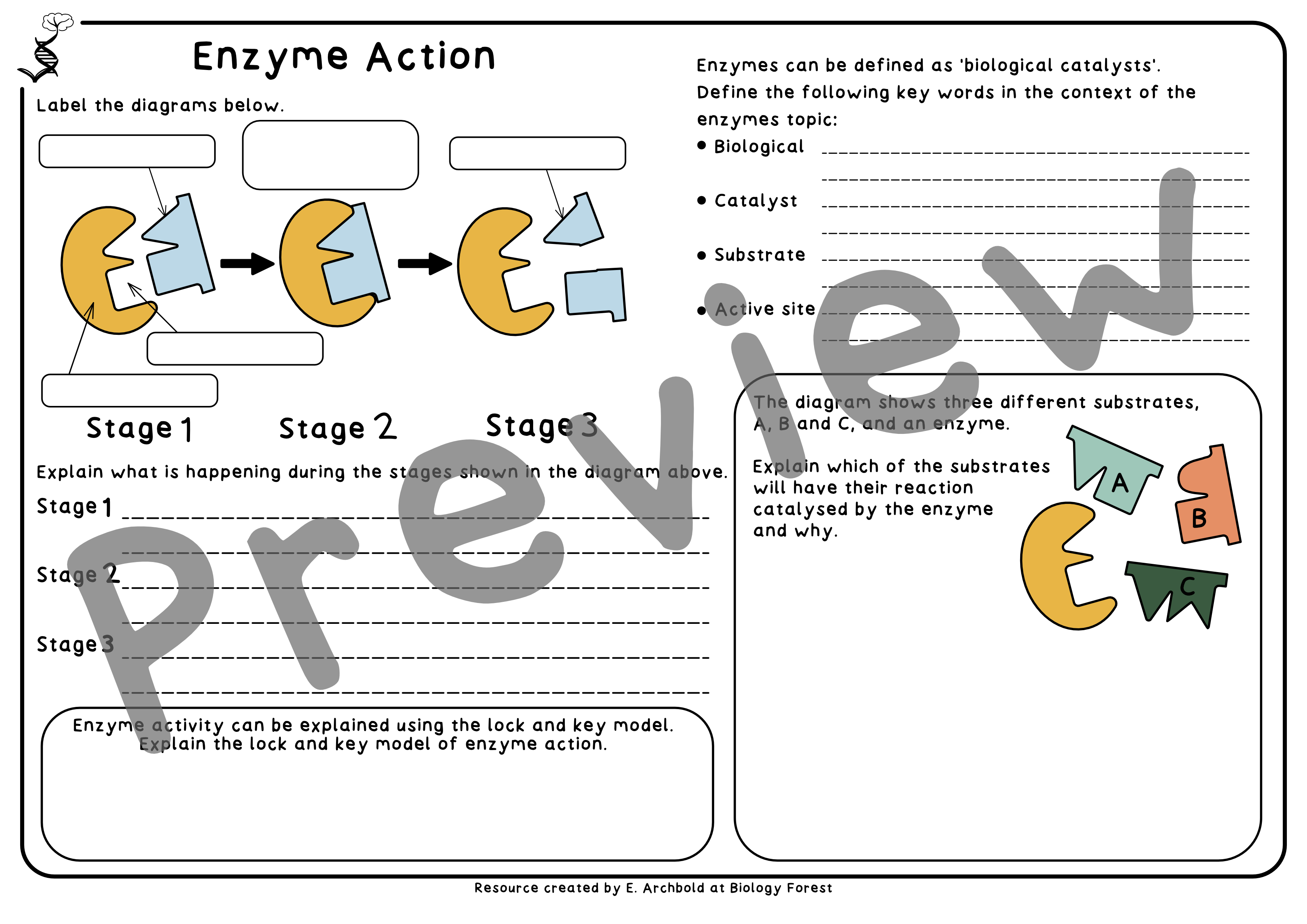 Enzymes | GCSE Biology | Teaching Resources