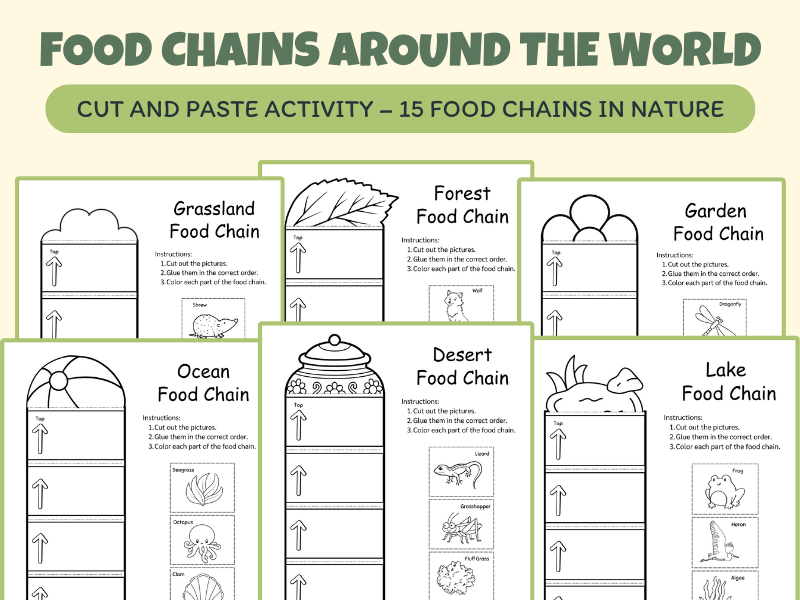 Food Chains Around the World - Cut and Paste Activity | Teaching Resources