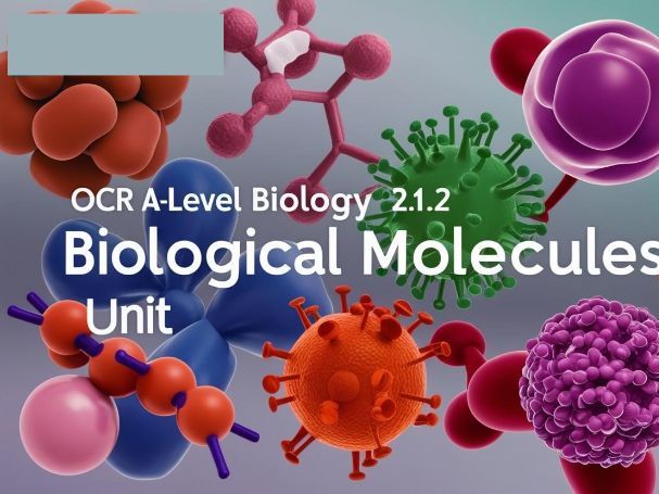 OCR A-level biology 2.1.2 Biological molecules- Whole topic | Teaching Resources