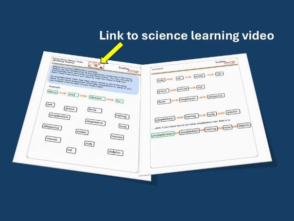 FOOD CHAINS KS1 SONG LESSON | Teaching Resources