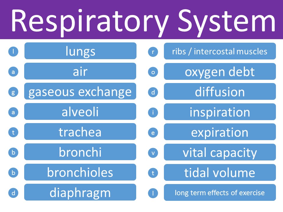 Secondary physical education teaching resources | TES