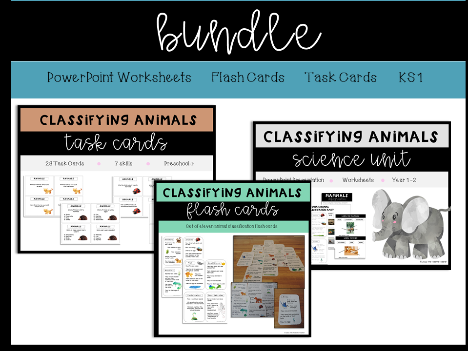 Animals and Habitats: Primary Science Teaching Resources ǀ Tes