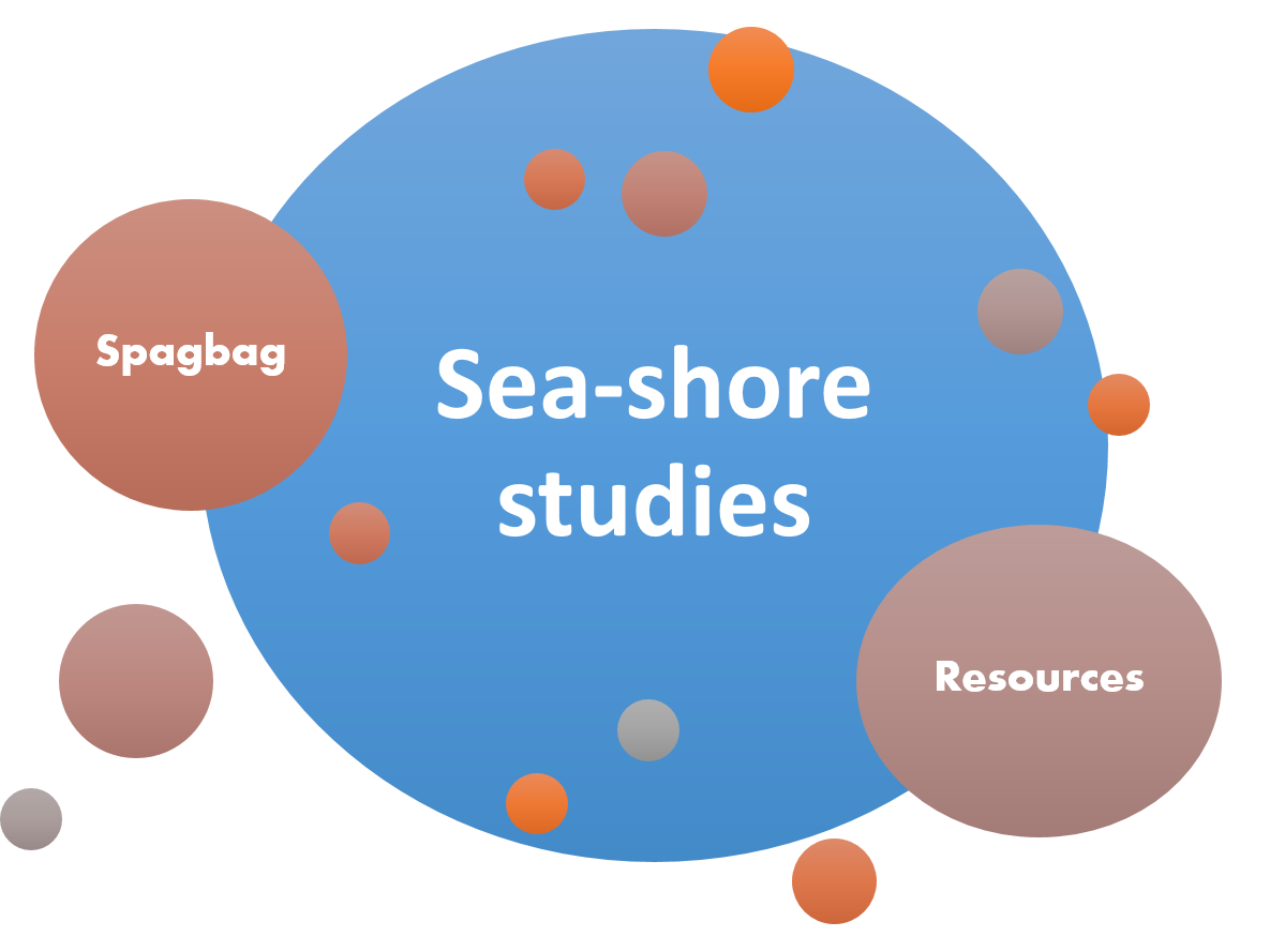 Primary cross-curricular topics teaching resources: Pirates | TES