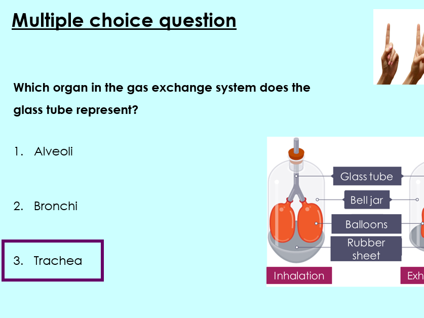 Breathing - KS3 Activate lesson | Teaching Resources