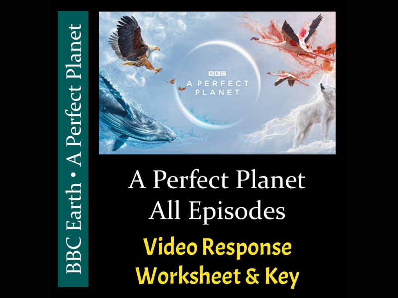 Whole-school the world resources