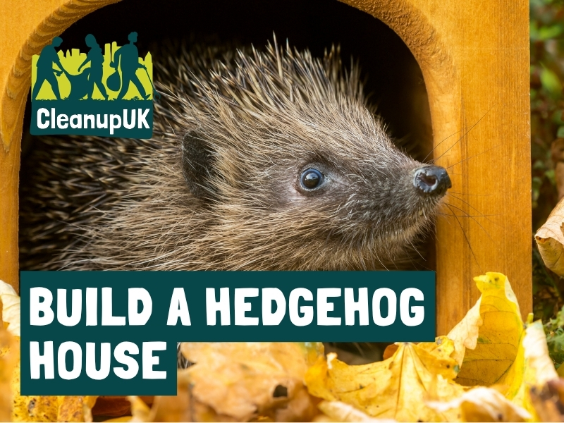 Build a Hedgehog House Activity Sheet - CleanupUK | Teaching Resources