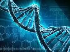 DNA the code of life | Teaching Resources