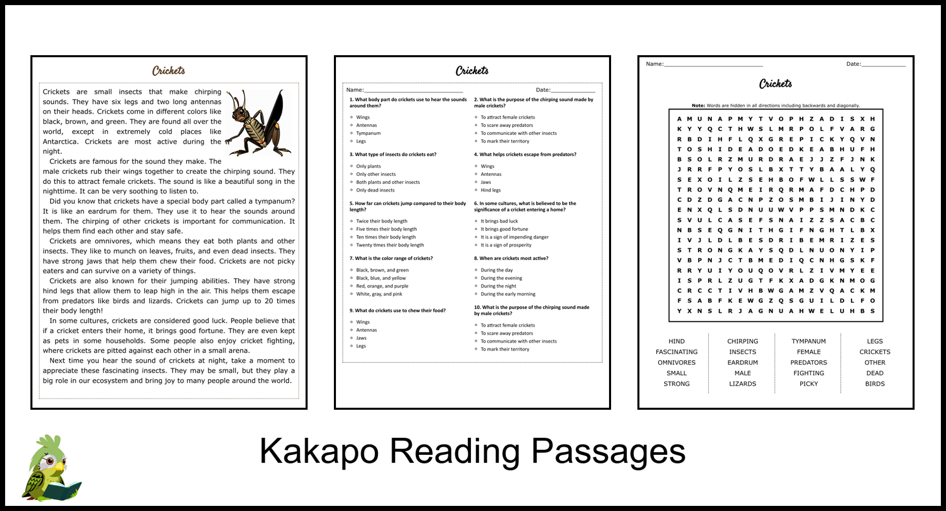 Crickets Reading Comprehension and Word Search | Teaching Resources