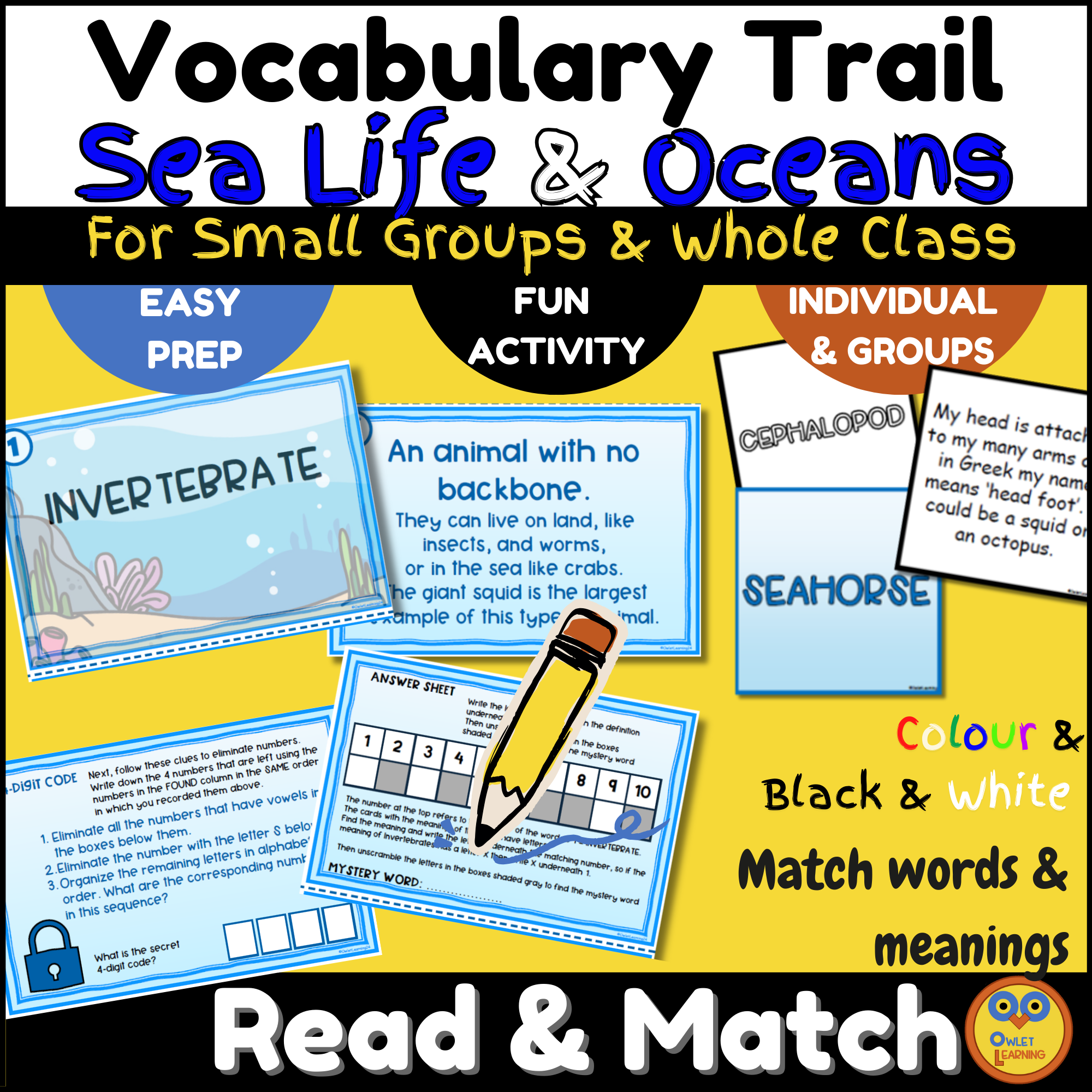 KS2 Ocean Animals Science VOCABULARY TRAIL | Teaching Resources