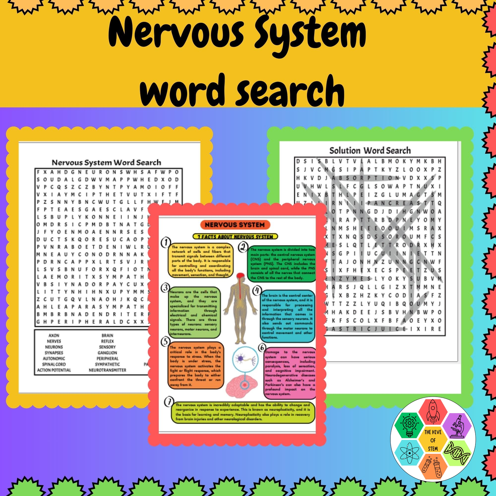 Human Body Systems | Nervous System | Facts and Word Search | Teaching ...