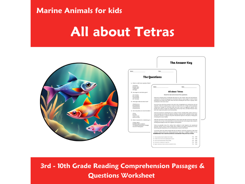 All About Tetras - Reading Comprehension Passages & Questions ...