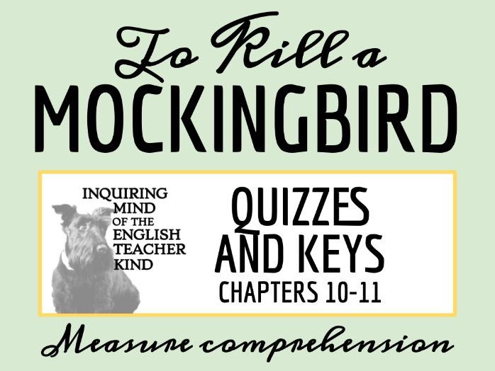 To Kill a Mockingbird Reading Comprehension Quiz Bundle | Teaching ...