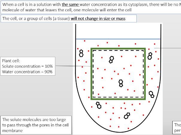 AQA GCSE Biology: Transport across membranes - osmosis | Teaching Resources