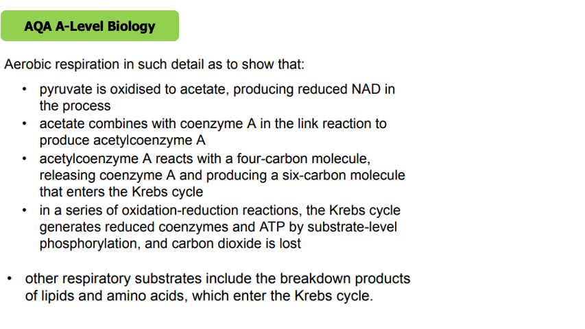 Link Reaction & Krebs Cycle - AQA A-Level Biology | Teaching Resources