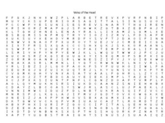 Veins of the Head Vocabulary Word Search for Anatomy Students ...