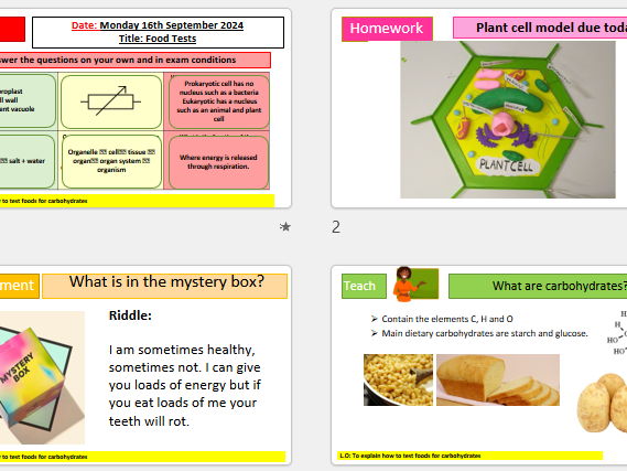 Food Tests KS3 | Teaching Resources