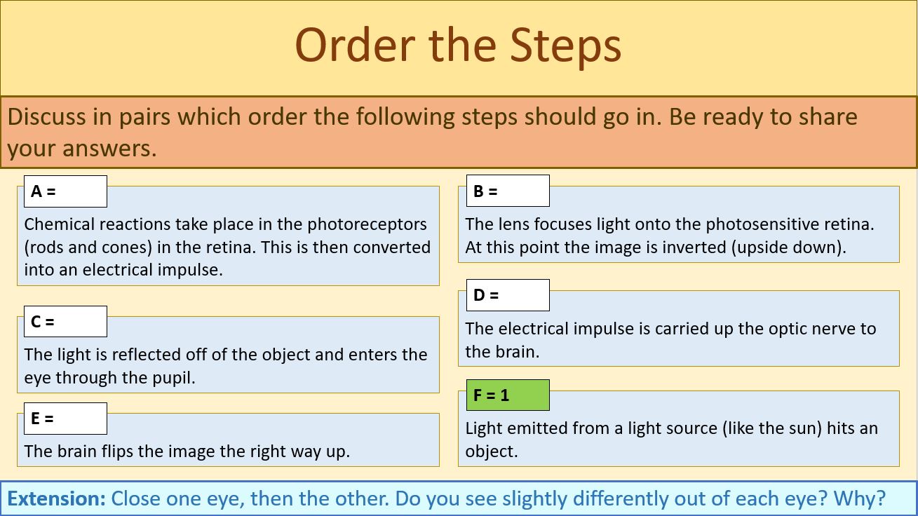 Eyes and Cameras ~ KS3 ~ Year 7 | Teaching Resources