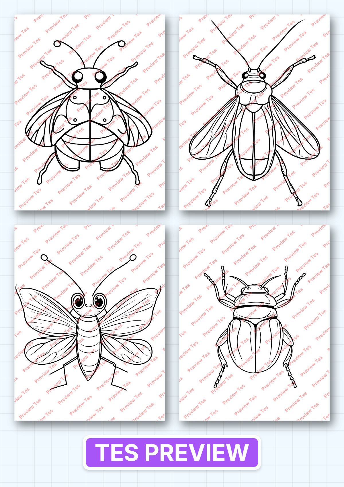 Insect Coloring Pages | Bugs Beetles Butterflies Art Activity ...