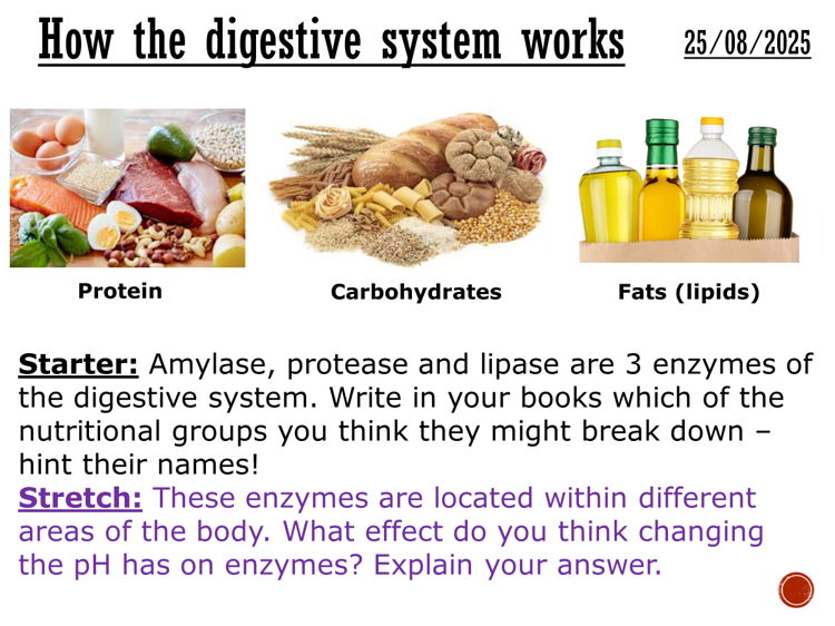 How the digestive system works - complete lesson (GCSE 1-9) | Teaching ...