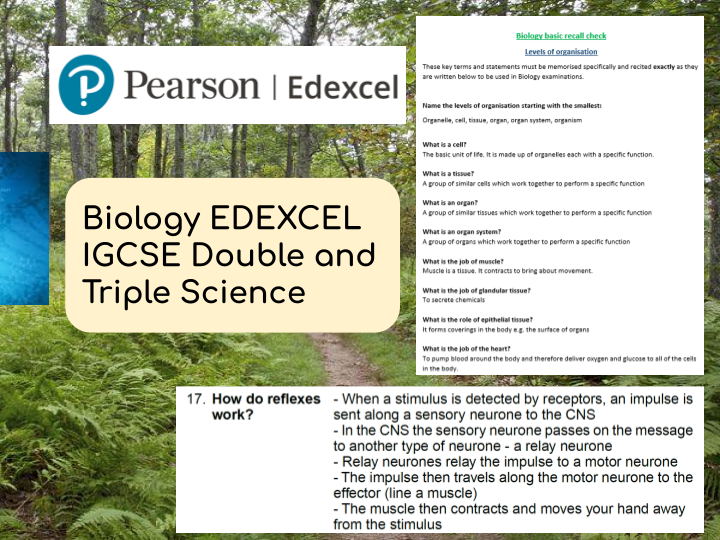 COMPLETE Edexcel IGCSE Biology Triple and Double Science | Teaching ...