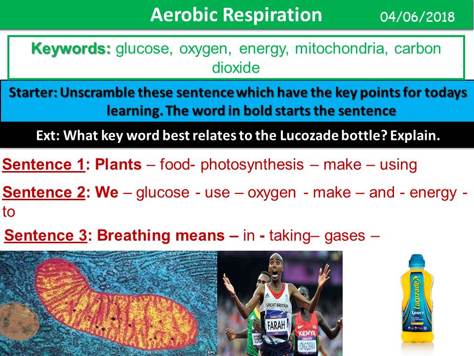 Aerobic Respiration by OuttheBoxScience | Teaching Resources