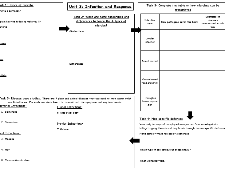 Unit 3: Infection and Response (Combined and Biology) Revision resource ...