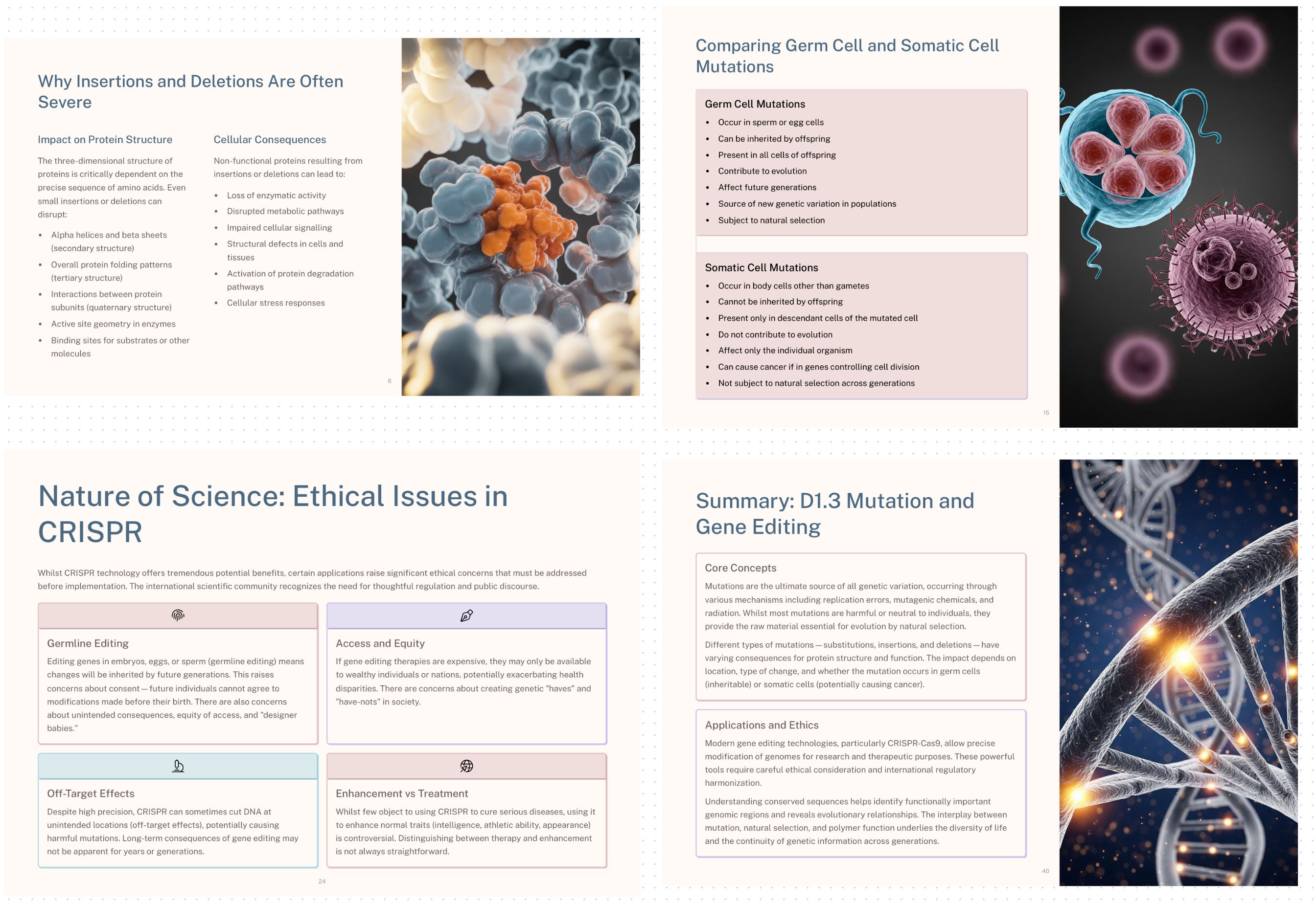 IB DP Biology D1.3 Mutation & Gene Editing Teaching Notes & PowerPoint ...