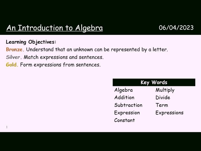 An Introduction To Basic Algebra Teaching Resources
