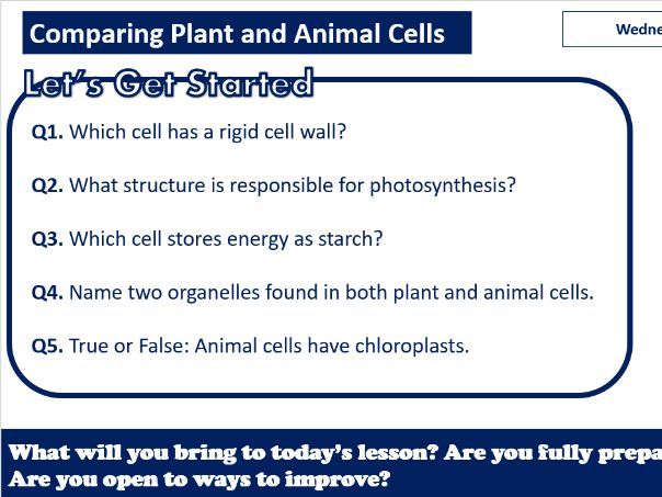 Comparing Plant and Animal Cells- AAQ Applied Science | Teaching Resources
