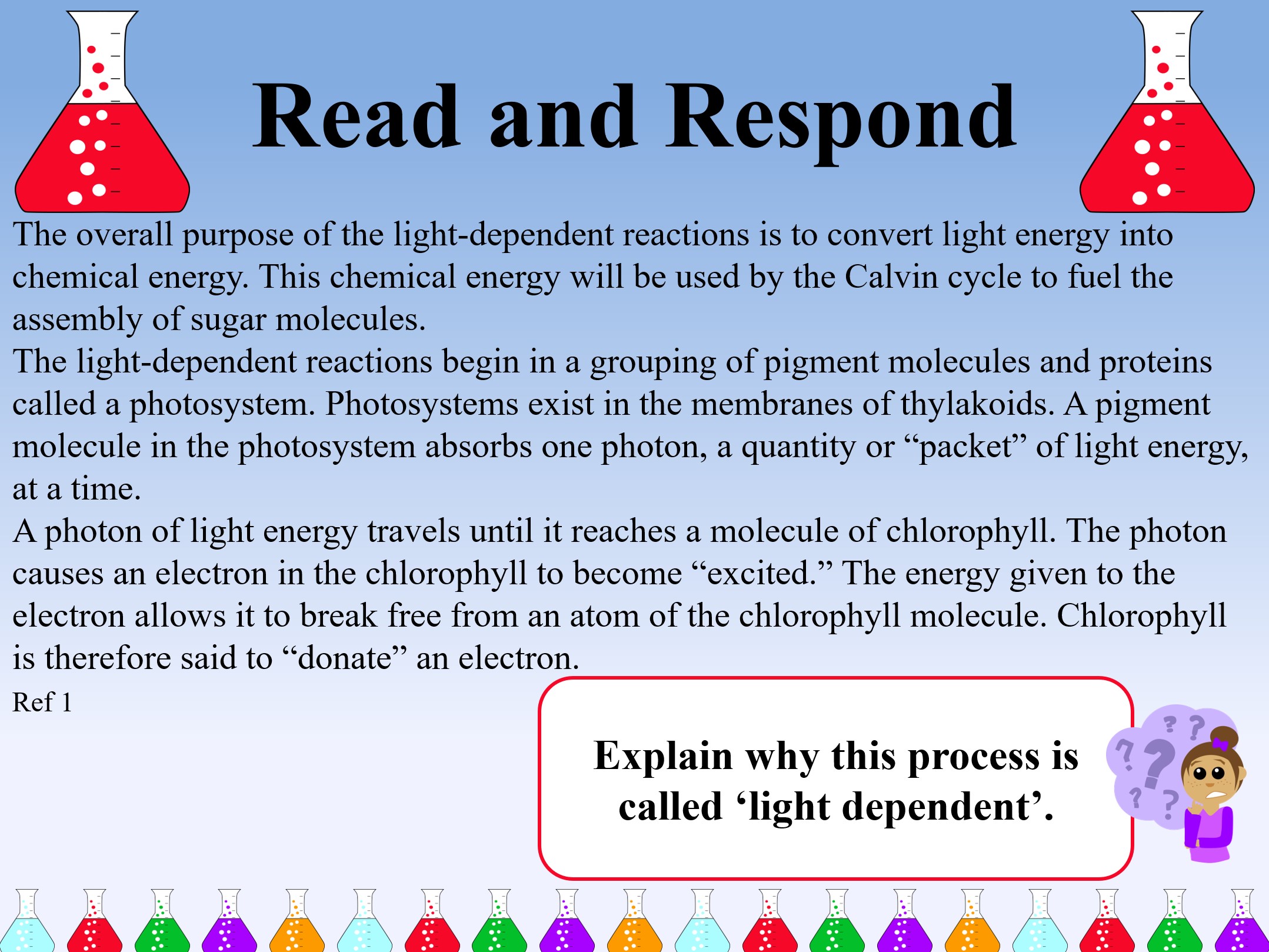 Two Weeks of Photosynthesis Bellringers Warm Ups and Answer Keys ...
