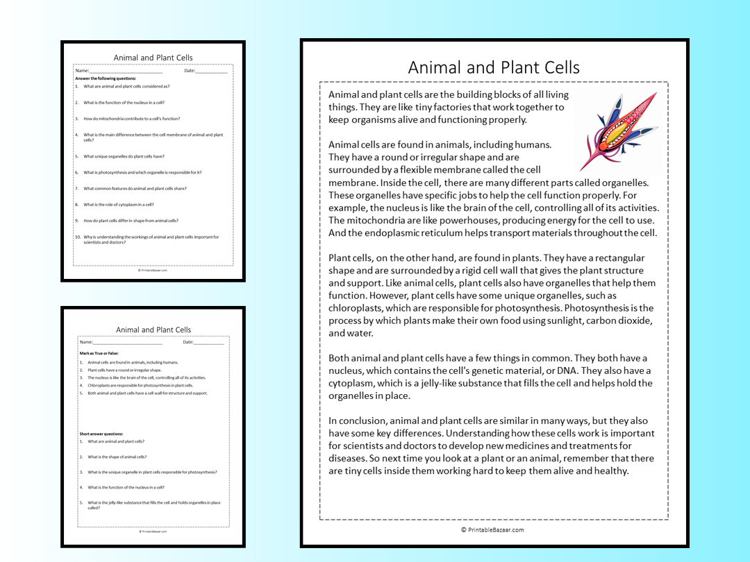 Animal and Plant Cells Reading Comprehension Passage Printable ...