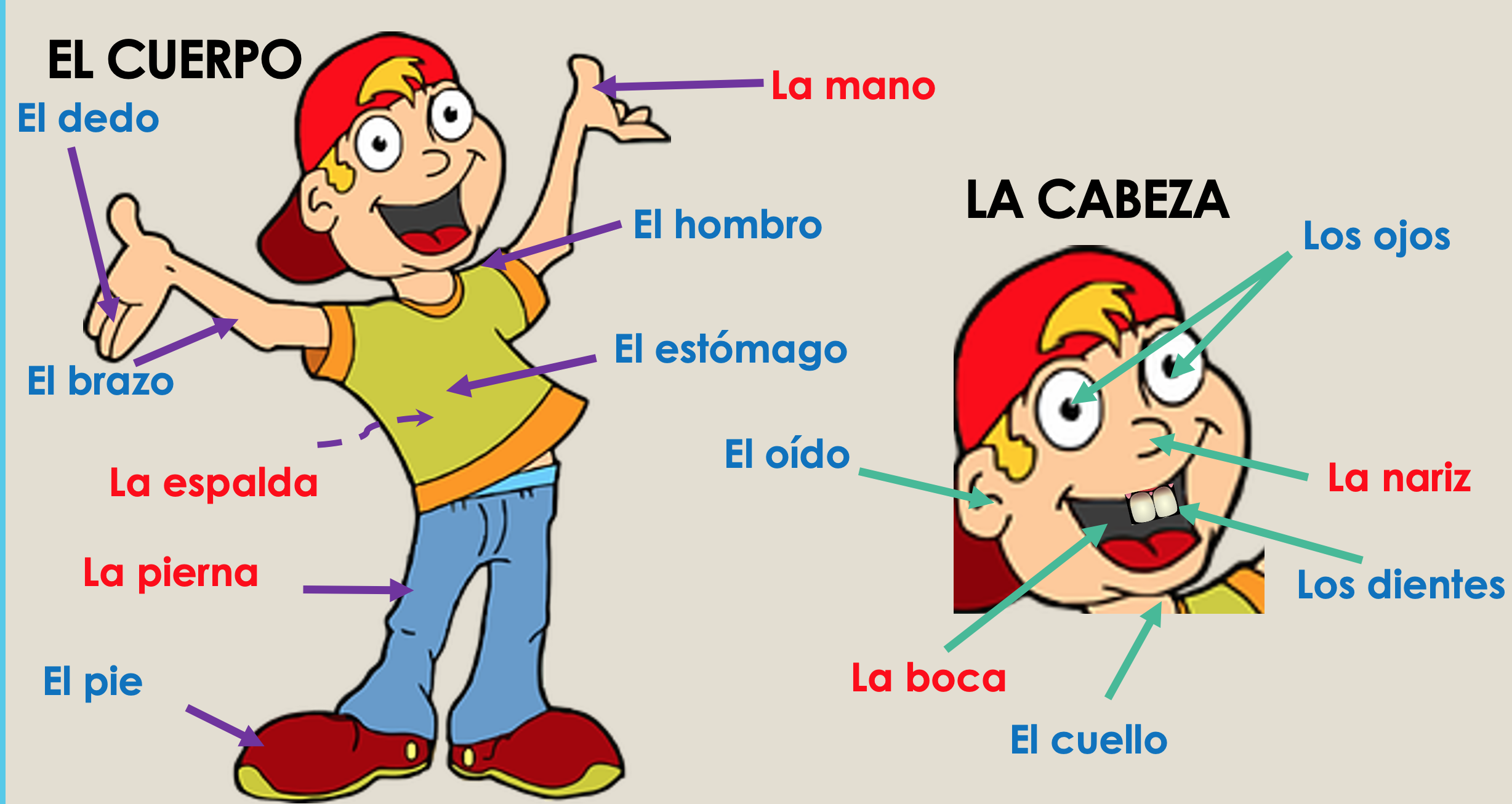 Viva 3 Module 3.5 ¡Me duele todo! | Teaching Resources