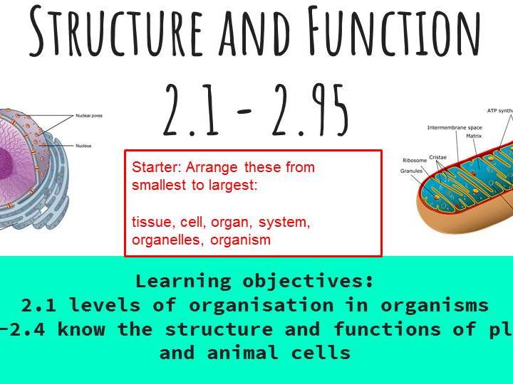 Cell Structure Function And Cell Transport IGCSE 9 1 Biology
